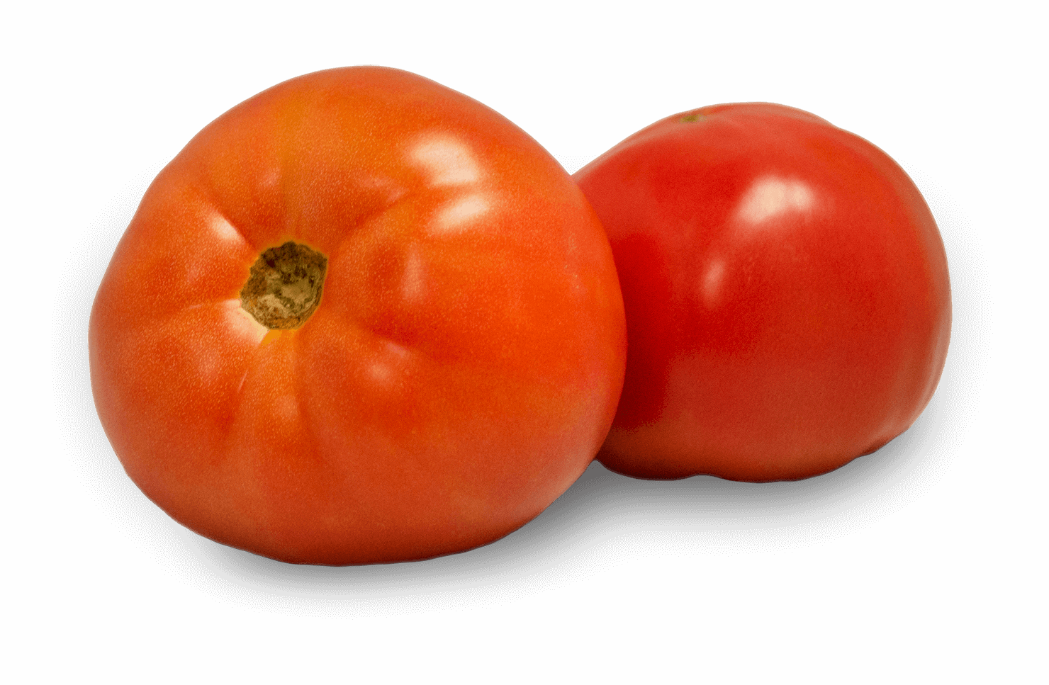 Round Tomatoes | Lipman Family Farms