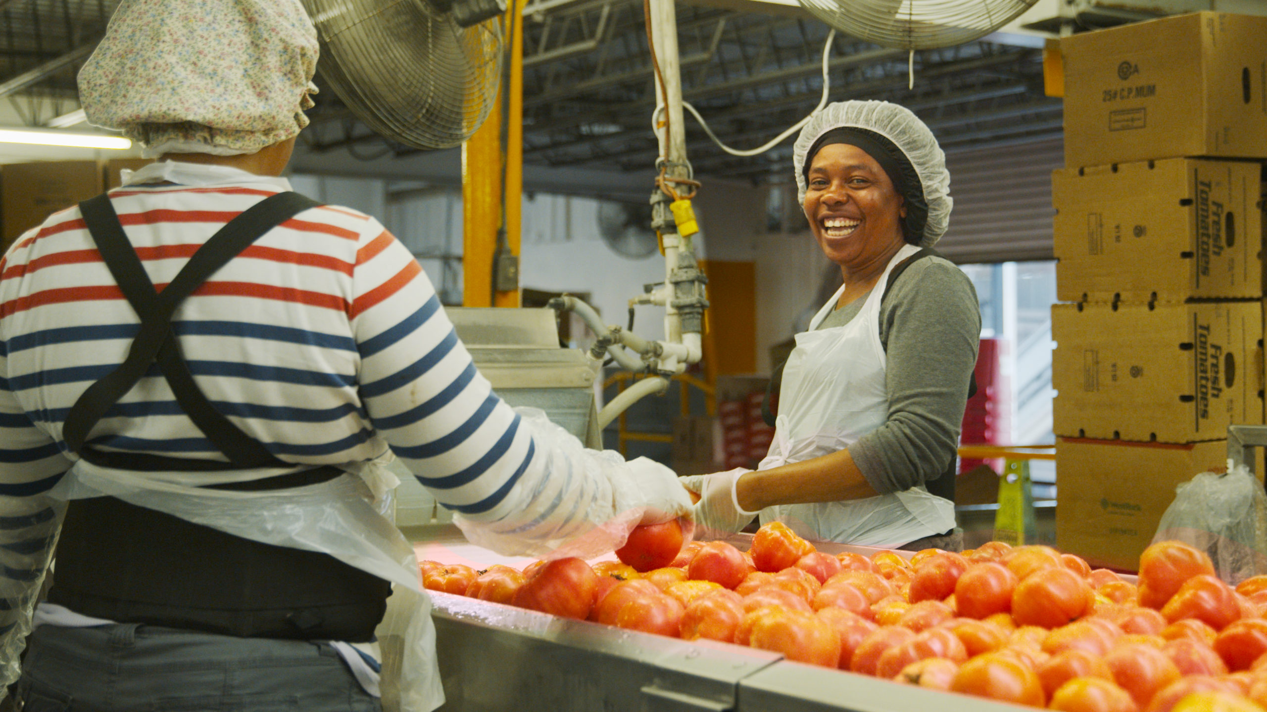 Our Story | Lipman Family Farms