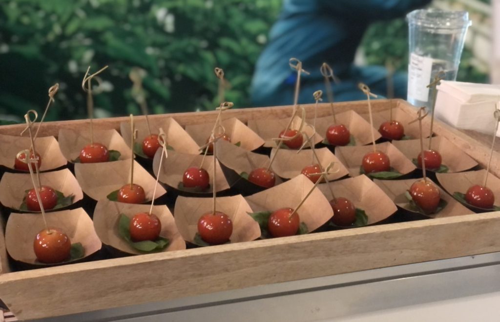 Candied Tomatoes on Basil Leaves - Lipman Family Farms